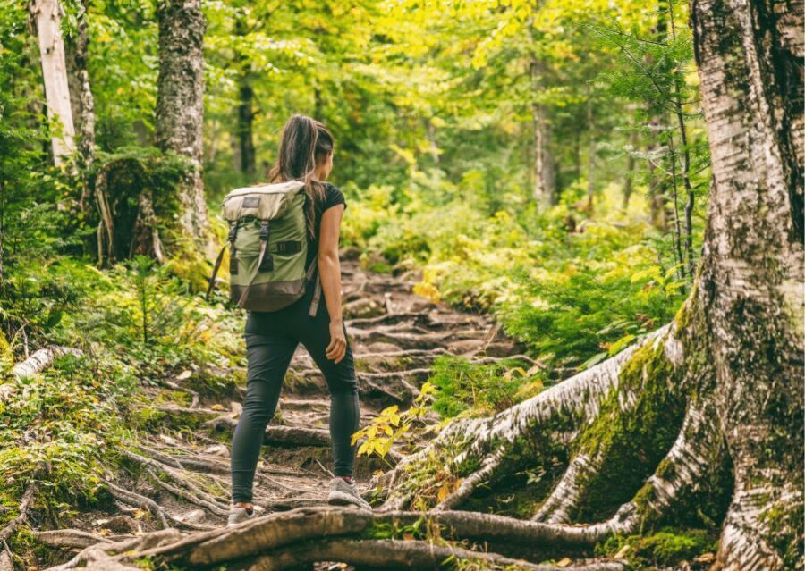 Mcleodganj Nature Trek (3 Hours Guided Walking Tour) - The Experience We Imagine You’ll Have