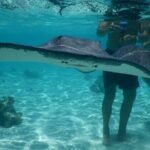 Medium Combo in Moorea of 2 hours of Jetski and 2h30 of Quad - The Itinerary: A Journey through Land and Lagoon
