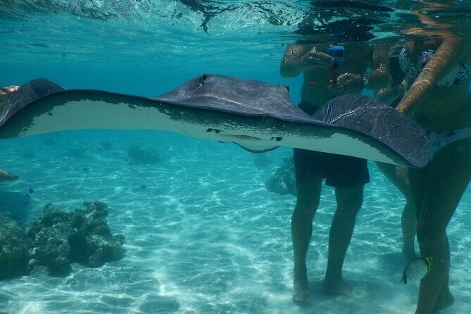 Medium Combo in Moorea of 2 hours of Jetski and 2h30 of Quad - The Itinerary: A Journey through Land and Lagoon