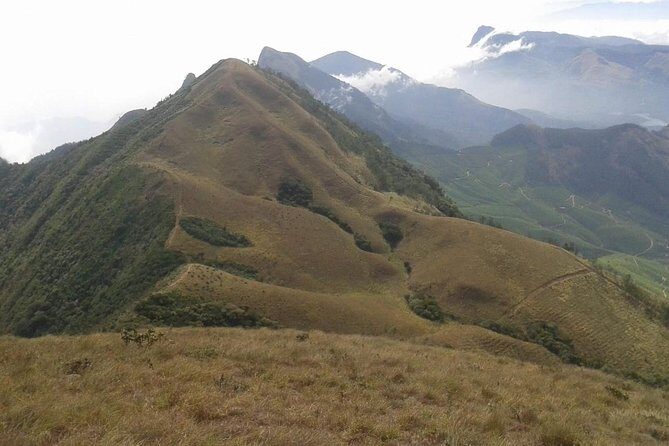 Meesapulimala Sunrise trek( By Munnar Info) - Wildlife and Nature