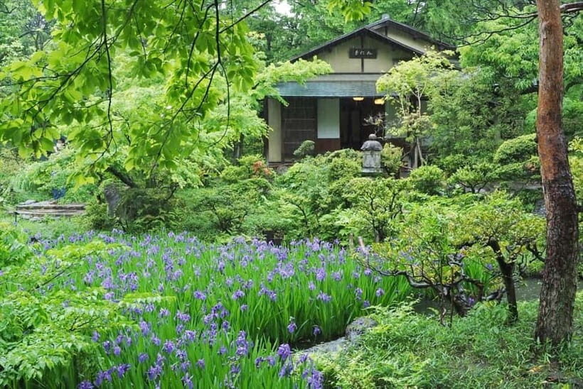 Meiji Jingu Shrine; Aoyama; Art Museums and Walking Tours - What to Expect on the Tour