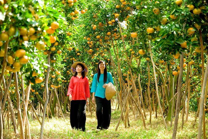 Mekong delta 1day - The Sum Up: The Value of a Day in the Mekong