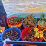 Mekong Delta 2-Day :Cai Rang Market & Local Life from HCM - What Makes This Tour Stand Out?