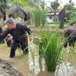 Mekong Delta Nature Private Day Trip: Bicycle-Kayak-Cano... - Why This Tour Offers Great Value