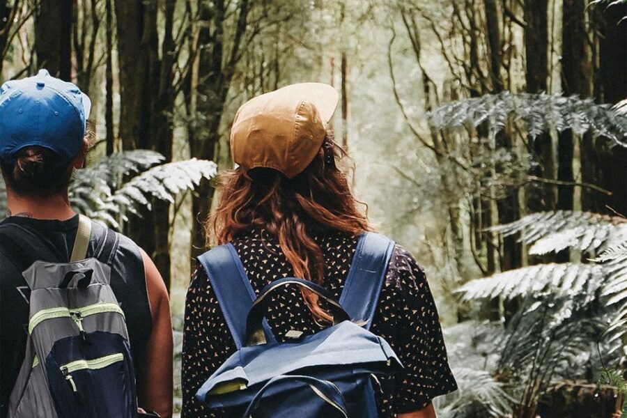 Melbourne: 12 Apostles, Otways & Great Ocean Road Day Tour - The Otways and Redwoods: A Forest Retreat