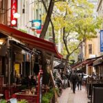 Melbourne City Laneways, Bays and Suburbs Small Group Bus Tour - What the Tour Means for You