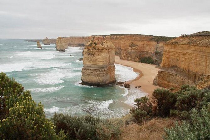 Melbourne Combo: Great Ocean Road Day Trip and Phillip Island Day Trip from Melbourne - What Makes This Tour Stand Out?