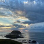 Melbourne Essentials: City, Penguins and Great Ocean Road - What to Expect: A Day-by-Day Breakdown