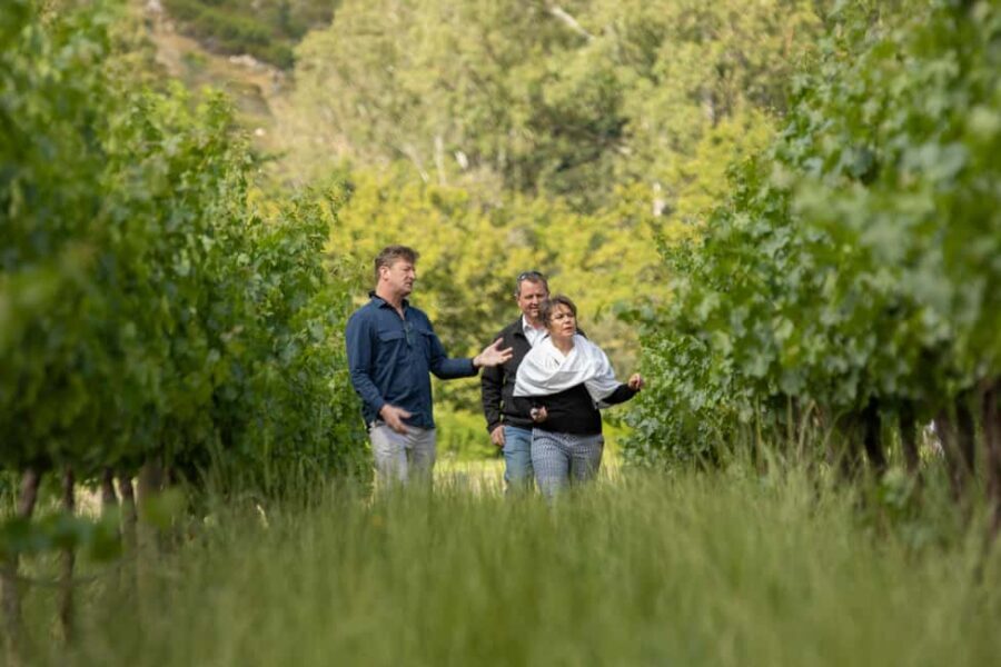 Melbourne: Full-Day Winemaker-Led Wine Tasting Tour - An In-Depth Look at the Full-Day Wine Tour