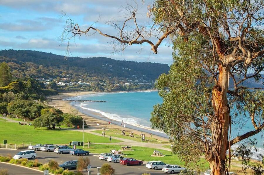 Melbourne: Great Ocean Road to 12 Apostles via the Coastline - Why This Tour Offers Great Value