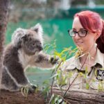 Melbourne Highlights and Aussie Wildlife Express Tour - Who Is This Tour Best For?