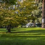 Melbourne: Melbourne Gardens Explorer Minibus Tour - The Sum Up: Who Will Appreciate This Tour?