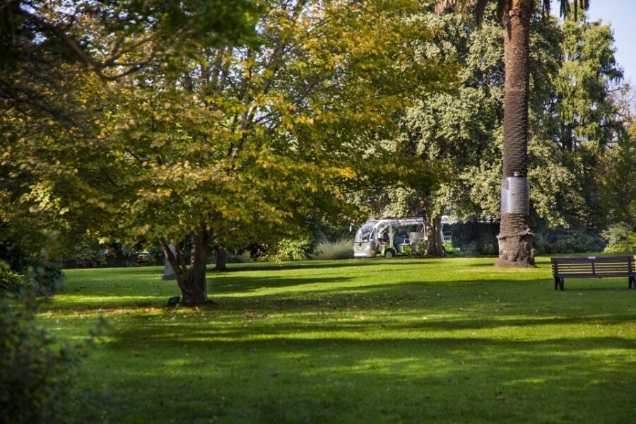 Melbourne: Melbourne Gardens Explorer Minibus Tour - The Sum Up: Who Will Appreciate This Tour?