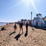 Melbourne: Moonlit Sanctuary and Brighton Beach Boxes Tour - What’s Included and What’s Not