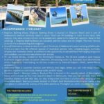 Melbourne: Mornington Peninsula and Moonlit Sanctuary Tour - Who Will Find This Tour Most Beneficial?