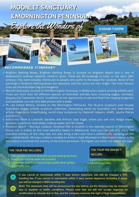 Melbourne: Mornington Peninsula and Moonlit Sanctuary Tour - Who Will Find This Tour Most Beneficial?