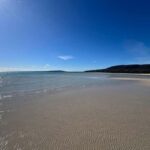 Melbourne: Mornington Peninsula Private Trip include tickets - What to Expect from the Experience