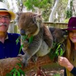 Melbourne Penguin Tour & Wildlife kangaroos koala Emu Tasi Devil - Value and Practicality