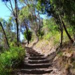Melbourne: Peninsula Nature Private Day Trip with Dinner - Transportation, Timing, and Group Size