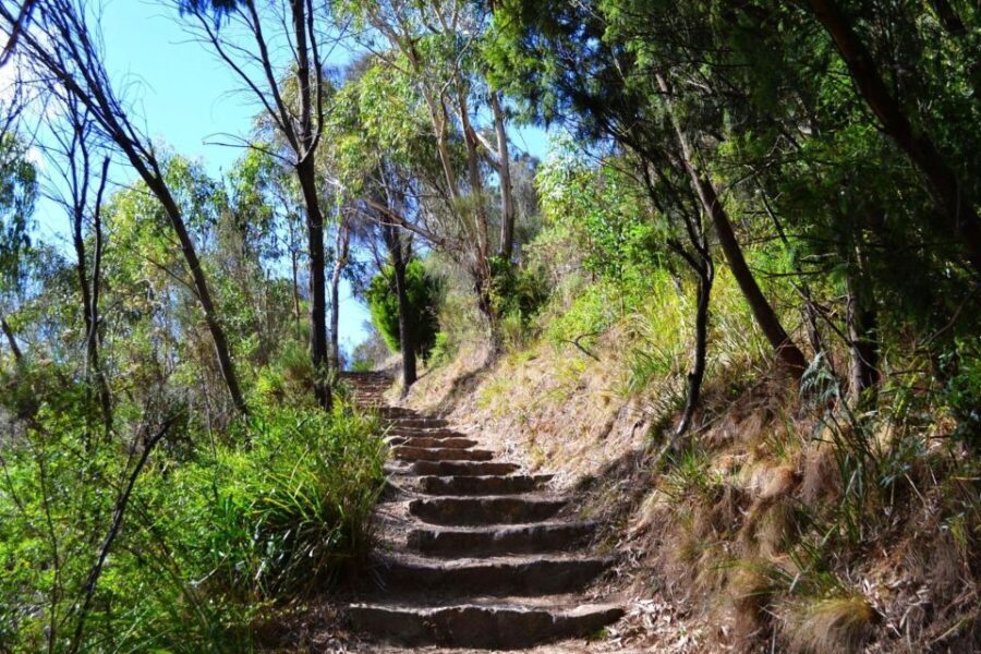 Melbourne: Peninsula Nature Private Day Trip with Dinner - Transportation, Timing, and Group Size