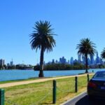 Melbourne: Peninsula Sightseeing Driving Day Tour - What Makes this Tour Stand Out?