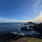 Melbourne: Phillip Island Private Trip with Penguin Parade - An In-Depth Look at the Phillip Island Tour