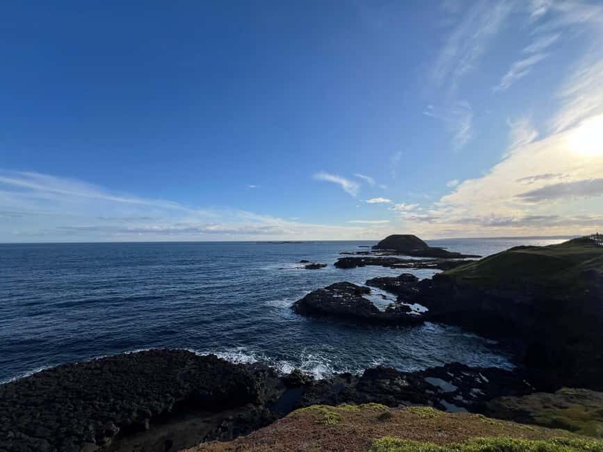 Melbourne: Phillip Island Private Trip with Penguin Parade - An In-Depth Look at the Phillip Island Tour