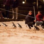 Melbourne: Phillip Island Tour & Penguin Parade - Transportation, Group Size, and Timing