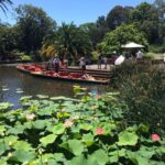 Melbourne Private Guided City Highlights Tour - The Drive: A Broader View of Melbourne
