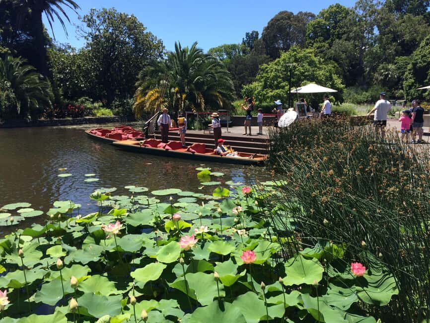 Melbourne Private Guided City Highlights Tour - The Drive: A Broader View of Melbourne