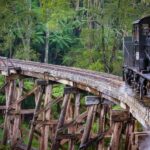 Melbourne: Private Puffing Billy Steam Train Ride - Practical Details & What to Expect