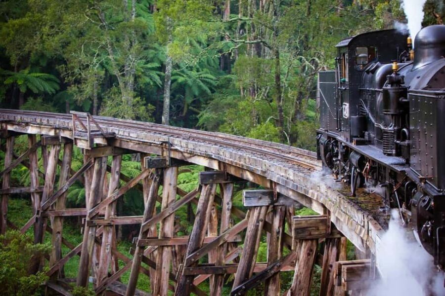 Melbourne: Private Puffing Billy Steam Train Ride - Practical Details & What to Expect