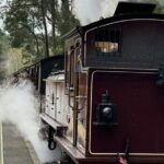 Melbourne: Private Puffing Billy Train & Phillip Island Tours - Up Close with Australian Wildlife at Maru Koala and Animal Park
