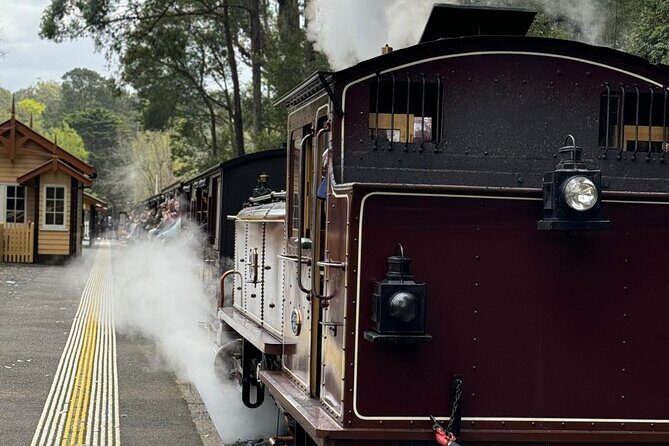 Melbourne: Private Puffing Billy Train & Phillip Island Tours - Up Close with Australian Wildlife at Maru Koala and Animal Park