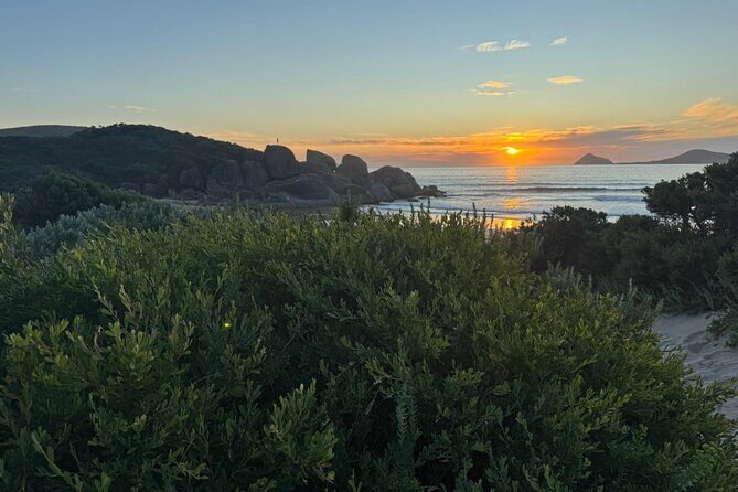 Melbourne: Private Wilson Promontory National Park Day Tours - Practical Considerations and Value