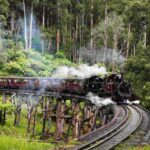 Melbourne: Puffing Billy Railway & Penguin Parade Day Tour - Who Will Love This Tour?