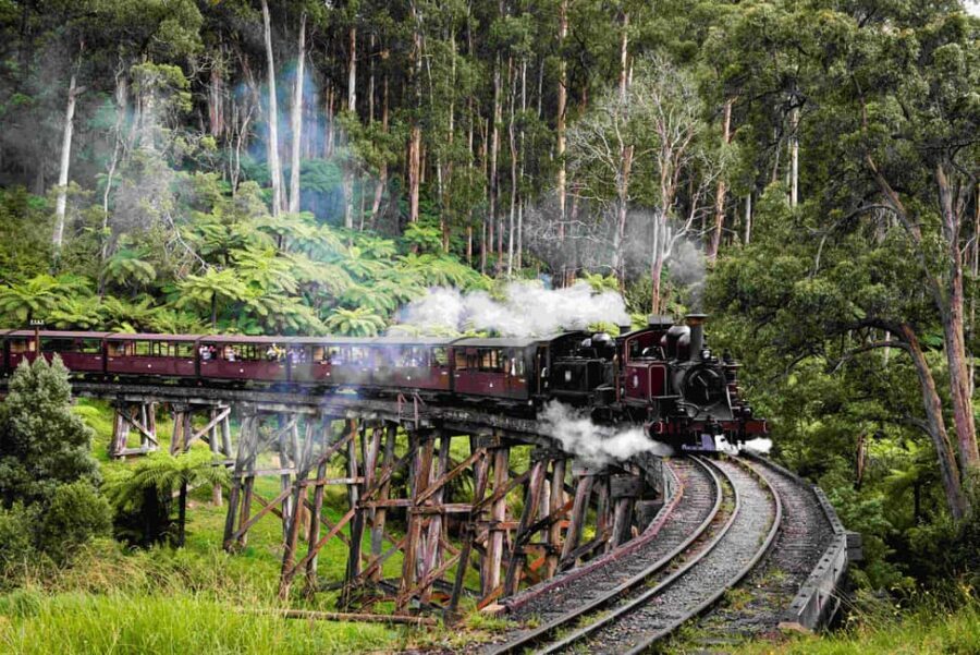 Melbourne: Puffing Billy Railway & Penguin Parade Day Tour - Who Will Love This Tour?