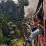 Melbourne: Puffing Billy Railway & Rainforest Tour - Is It Worth the Price?