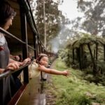 Melbourne: Puffing Billy Steam Train & Penguin Parade Tour - FAQs