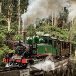 Melbourne Puffing Billy Train and Penguin Parade Day Tour Escape - Why This Tour Offers Value