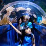 Melbourne: SEA LIFE Aquarium Entrance Ticket - Evaluating the Value