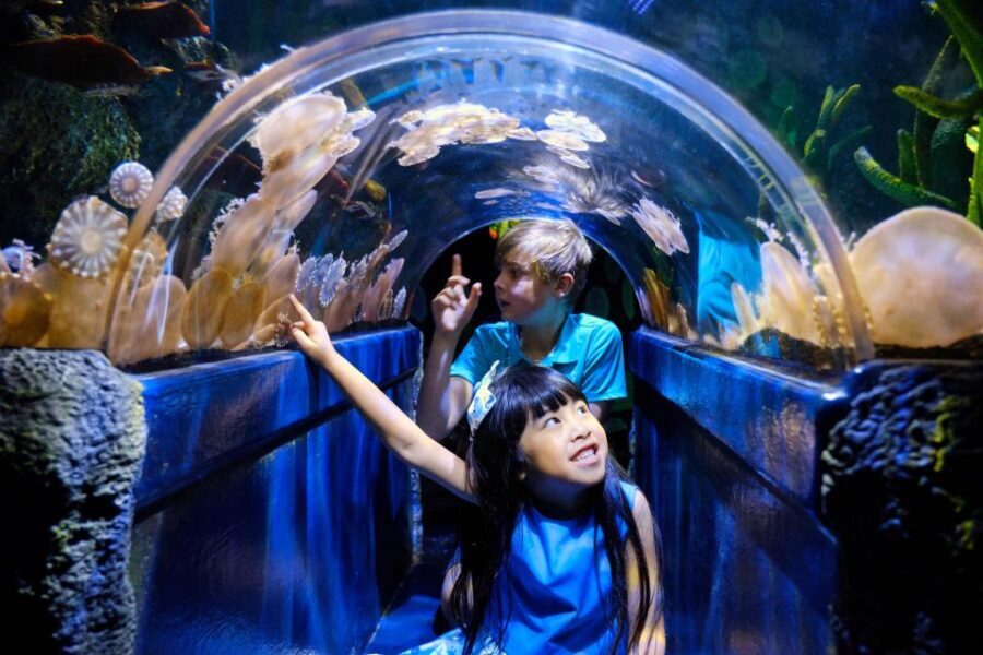 Melbourne: SEA LIFE Aquarium Entrance Ticket - Evaluating the Value