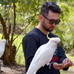 Melbourne Sky High - Private Bush Tour - Highlights of the Itinerary