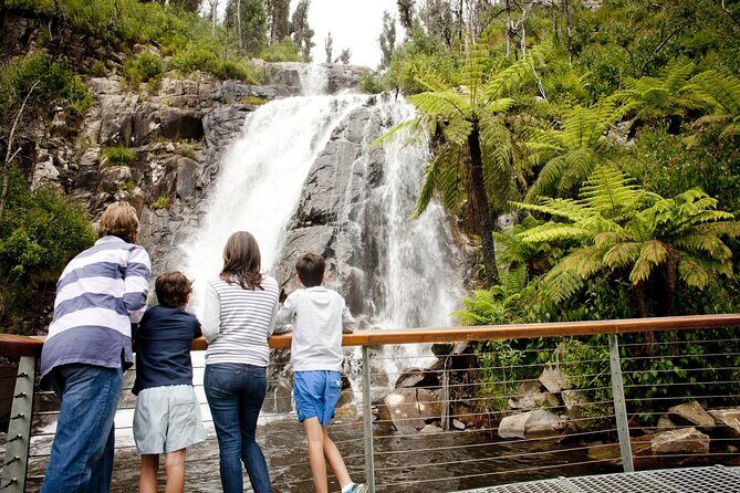 Melbourne Snow Trip to Lake Mountain with Chocolates & Waterfalls - First Stop: Healesville for Breakfast and Support Local Vendors