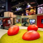 Melbourne Sports Experience + Free Australian Sports Museum entry - What Makes This Tour a Great Deal?