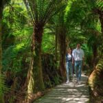 Melbourne to Great Ocean Road & Grampians 3 Day Escape - The Value of This Tour