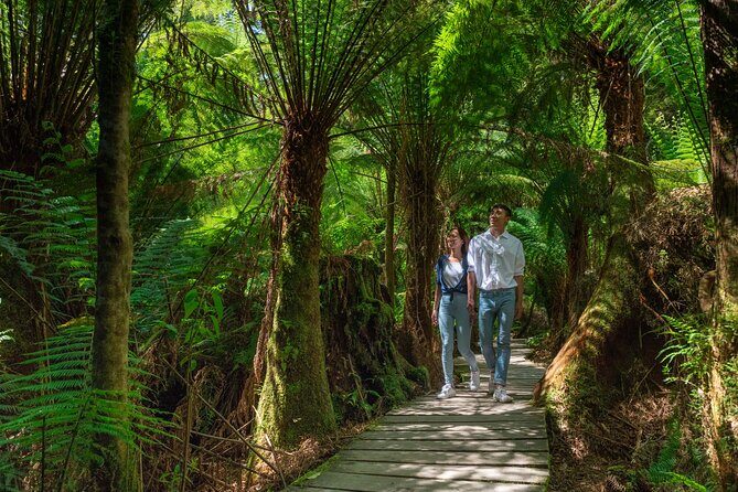 Melbourne to Great Ocean Road & Grampians 3 Day Escape - The Value of This Tour