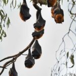 Melbourne Tour: Walk the Yarra & Heritage Convent Experience - Who Will Love This Tour?