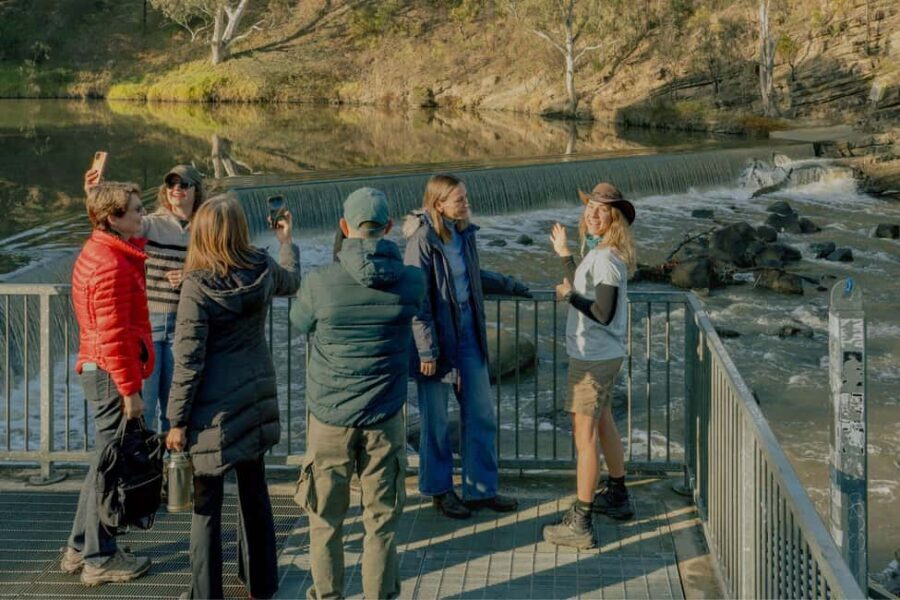 Melbourne Tour: Walk the Yarra & Historic Boathouse Lunch - Key Points