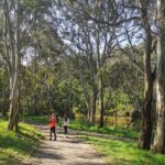 Melbourne Tours Walk the Yarra & Historic Boathouse Lunch - Authentic Traveler Feedback